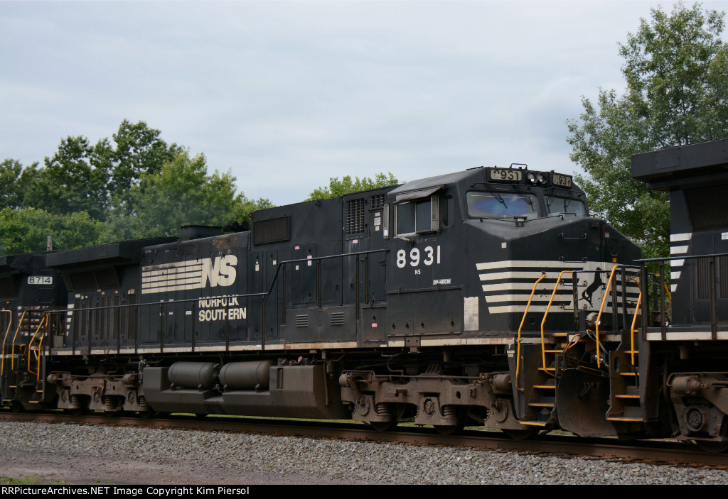 NS 8931